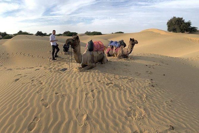 Desert Camel Safari & Jeep Safari Tour From Jodhpur - FAQ