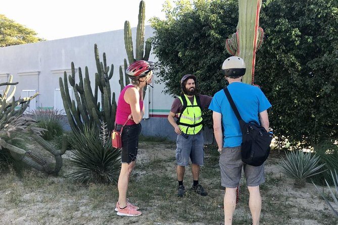 Desert Mountain Biking, fun and easy. - Who Should Book This Tour?