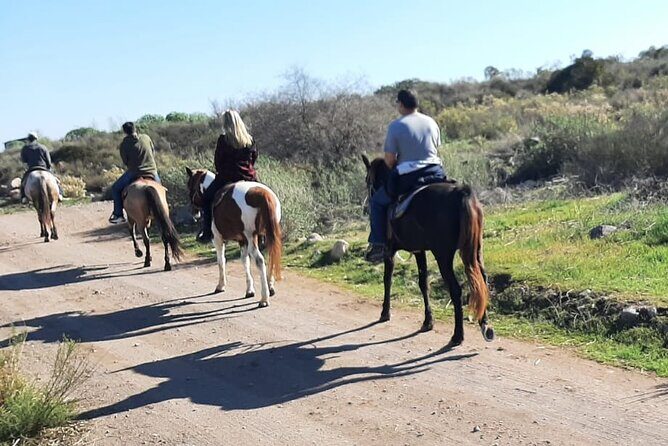 Desert Peaks on Horseback, Exploring Mountain Trails of Ensenada - Frequently Asked Questions