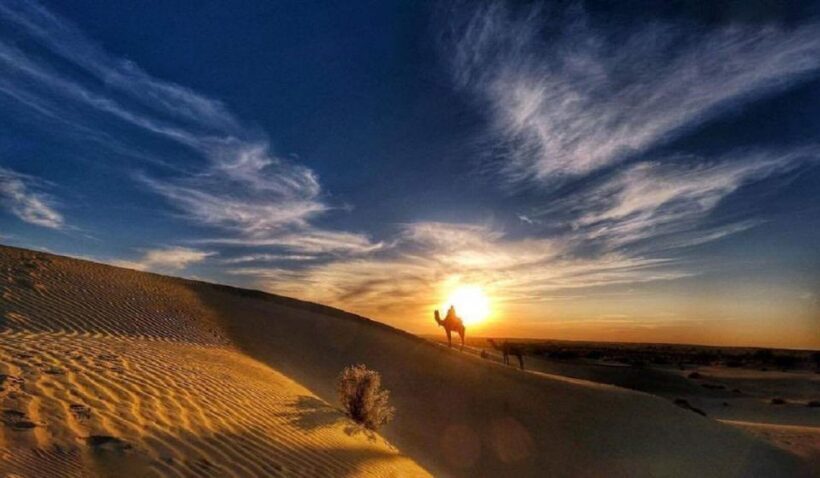 Desert Rose Jaisalmer: Overnight Stay Middle of Thar Desert - The Itinerary: What to Expect