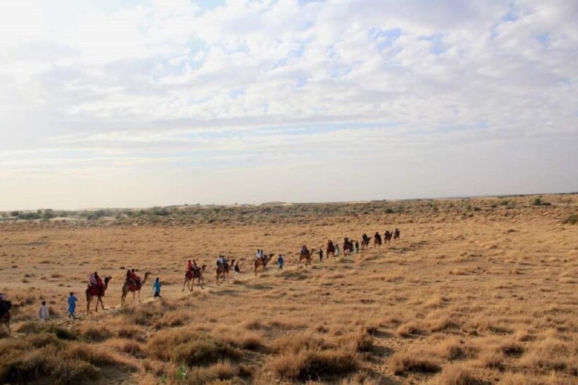 Desert Rose Jaisalmer: Overnight Stay Middle of Thar Desert - Authentic Experiences and Value