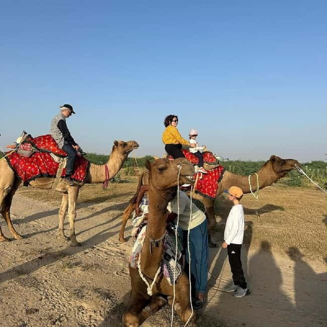 Desert Rose Jaisalmer: Overnight Stay Middle of Thar Desert - Who Is This Tour Best For?