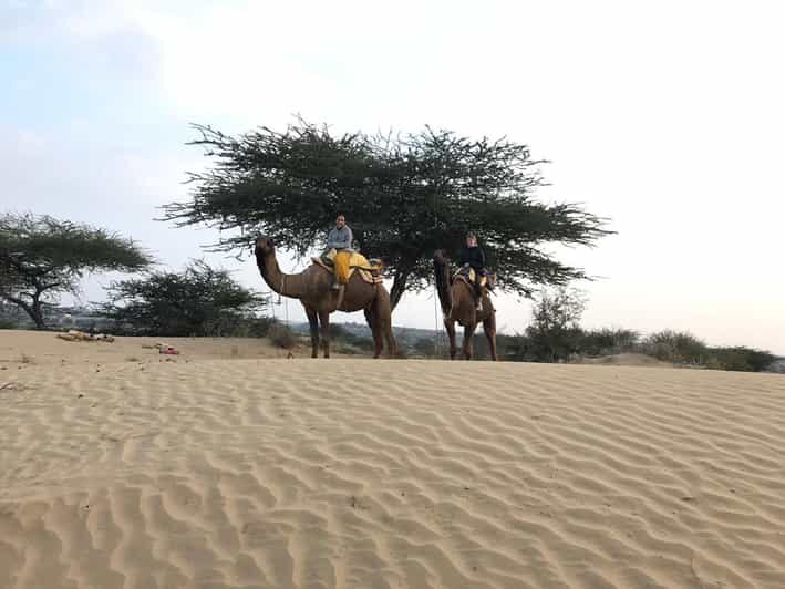 Desert Safari In Jodhpur - Exploring Rajasthan with a Desert Safari