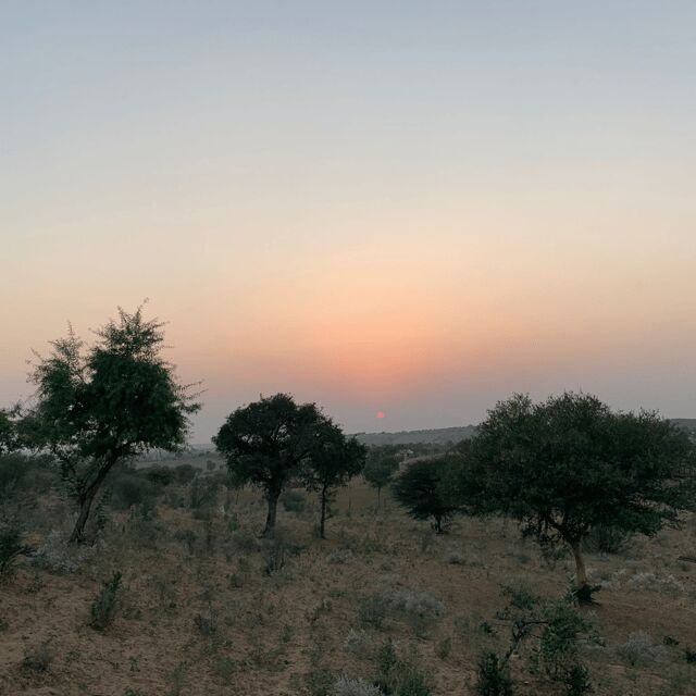 Desert Safari In Jodhpur - Final Thoughts