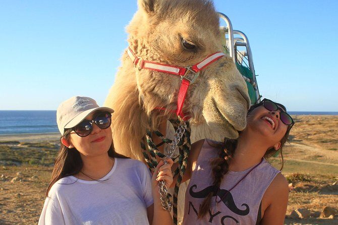 Desert & sea, Camel Safari tour in Los Cabos with lunch - A Closer Look: The Itinerary