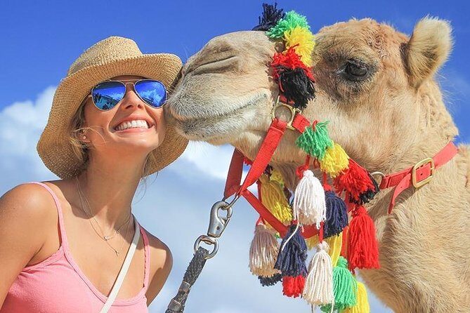 Desert & sea, Camel Safari tour in Los Cabos with lunch - The Sum Up