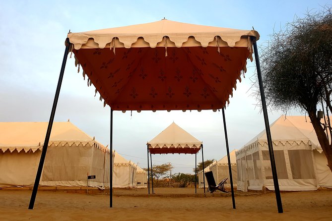 Desert Tour with Camel Safari, jeep safari - accommodation in luxury Swiss tent - Key Points