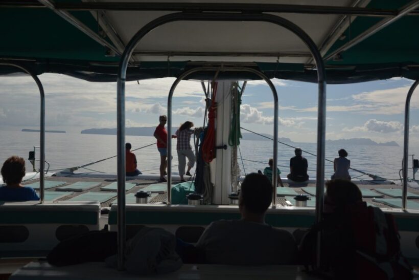 Desertas Islands Full-Day Catamaran Trip from Funchal - The Experience: A Detailed Look at the Tour