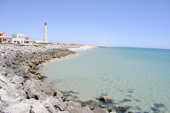 Deserted Island and Lighthouse Island: a Small Group Boat Trip in Ria Formosa From Faro - Wildlife and Scenic Experiences