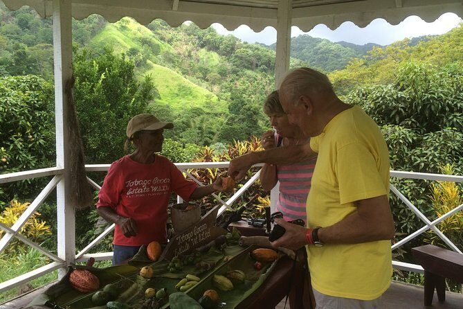 Design your own individual excursion - Why Consider This Tour?