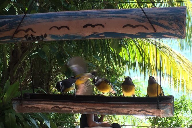 Design your own individual excursion - Practical Tips