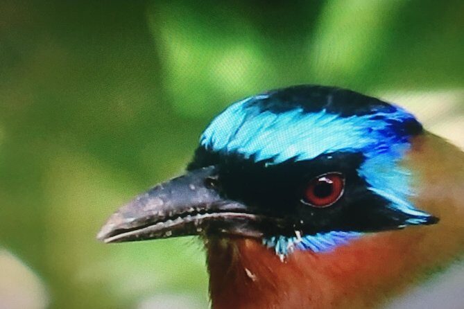 Design your own individual excursion - The Sum Up