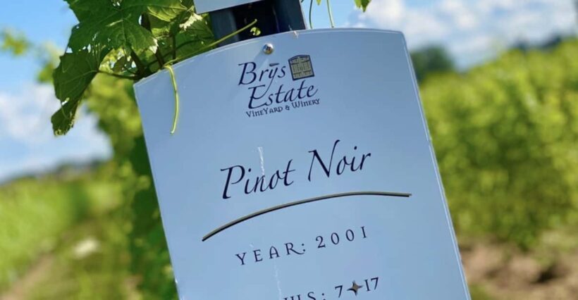 Designated Driver For Wine Tours - Traverse City - Key Points
