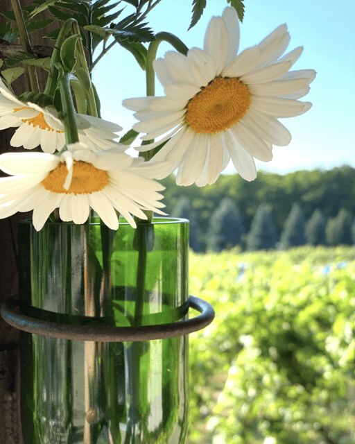 Designated Driver For Wine Tours - Traverse City - Practical Tips