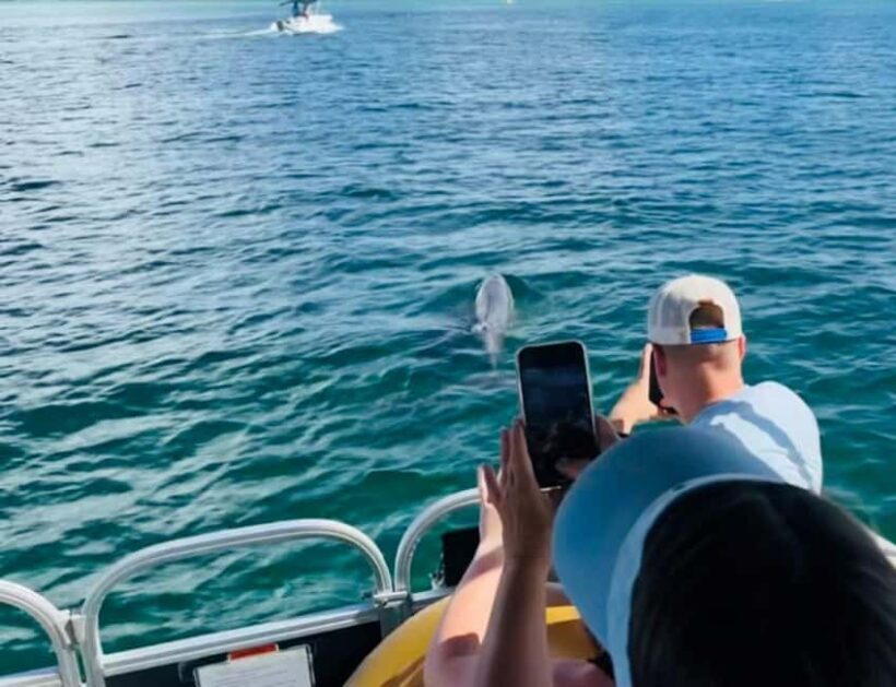Destin: 90-Minute Boat Ride With Cruise Destin Bay - The Sum Up
