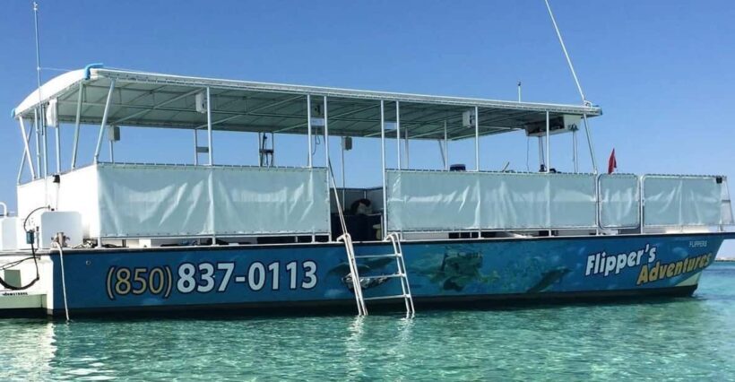 Destin: Crab Island Catamaran Tour with Dolphin Watching - Setting Sail from Destin