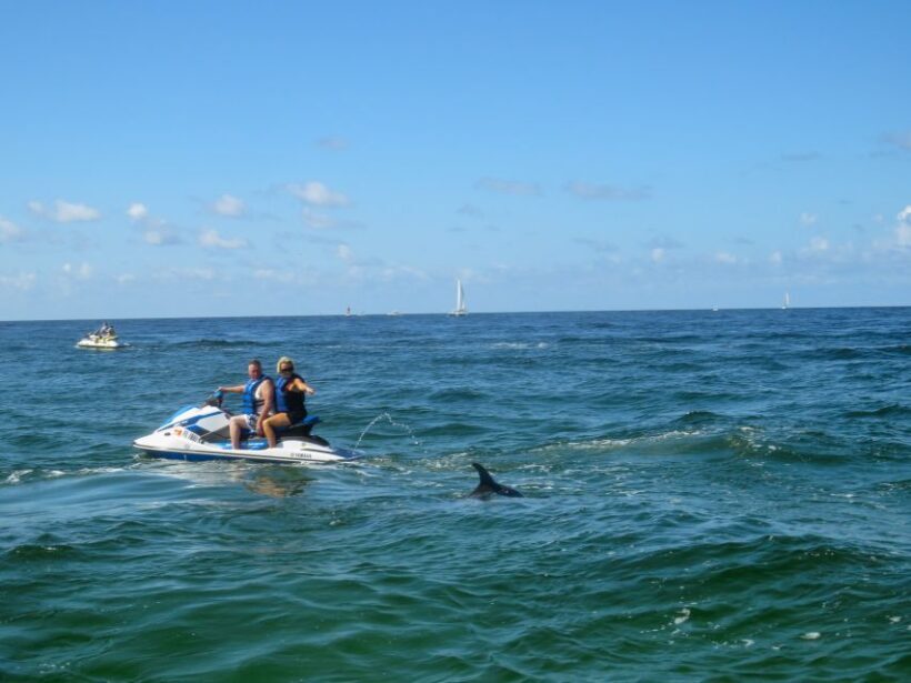 Destin: Crab Island Dolphin Watching Jet Ski Tour - A Closer Look at the Crab Island Dolphin Jet Ski Tour