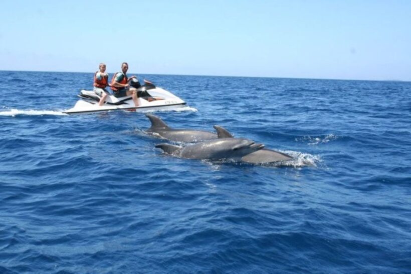 Destin: Crab Island Dolphin Watching Jet Ski Tour - Who Will Love This Tour?