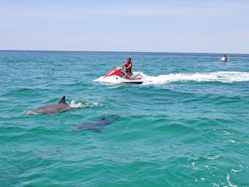 Destin: Crab Island Dolphin Watching Jet Ski Tour - FAQ