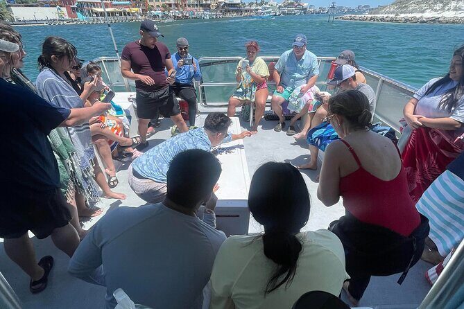 Destin Crab Island Tour in Catamaran - Frequently Asked Questions