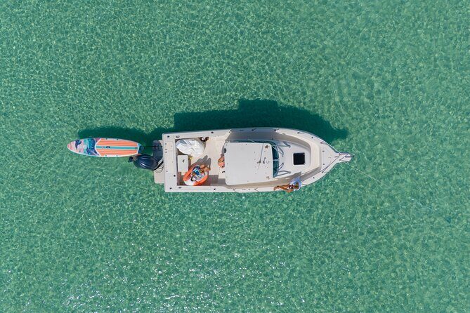 Destin Dolphin and Snorkeling Adventure Speedboat Tour - The Itinerary: What to Expect