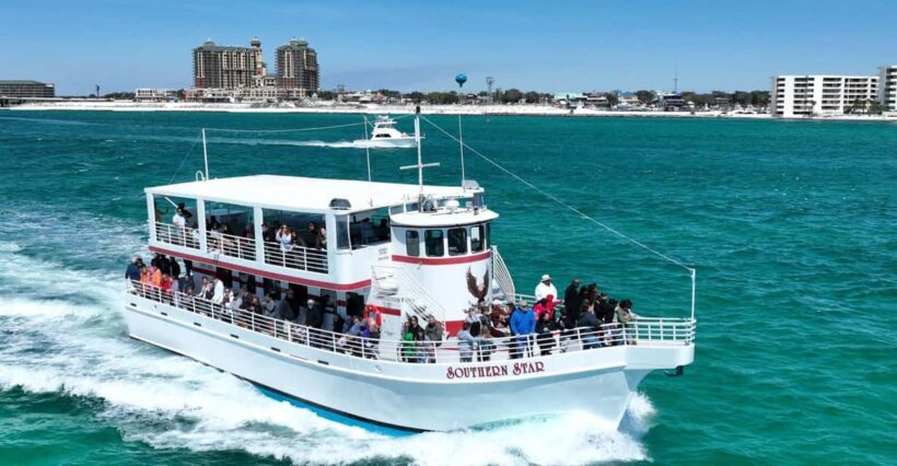 Destin: Dolphin Cruise aboard a Glass-Bottom Boat - Wildlife Viewing: What You Might See