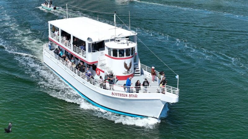 Destin: Dolphin Cruise aboard a Glass-Bottom Boat - The Sum Up