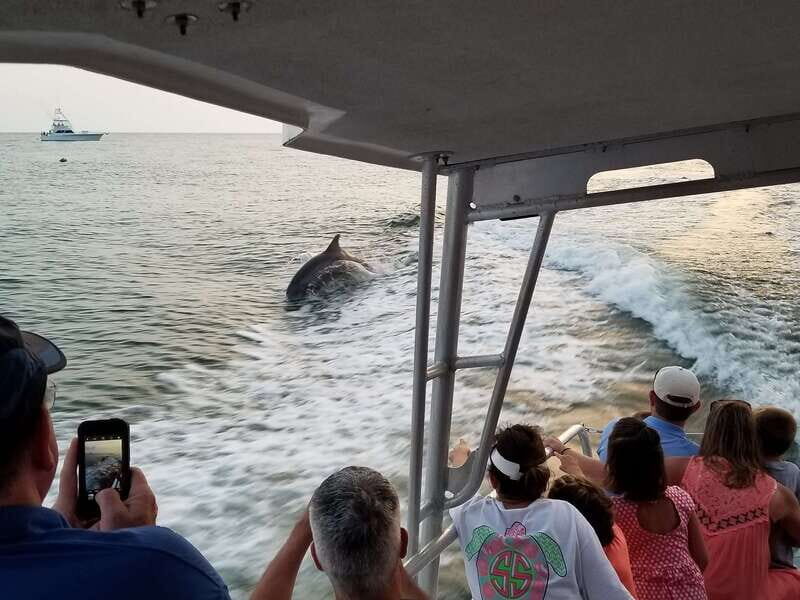 Destin: Dolphin Watching Cruise - Who Will Love This Tour?