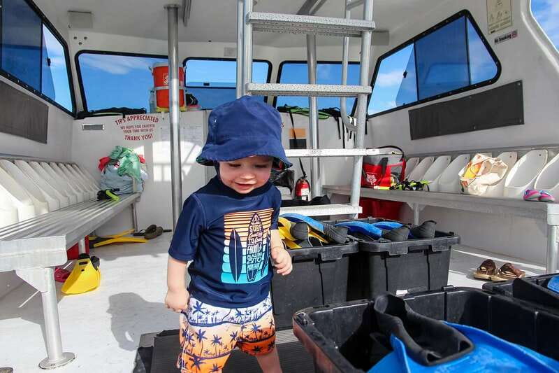 Destin: Dolphin Watching Cruise - FAQs