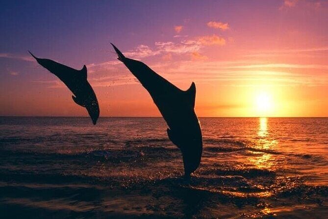 Destin Family Friendly Dolphin Watching Adventure - The Experience: What Makes or Breaks the Tour