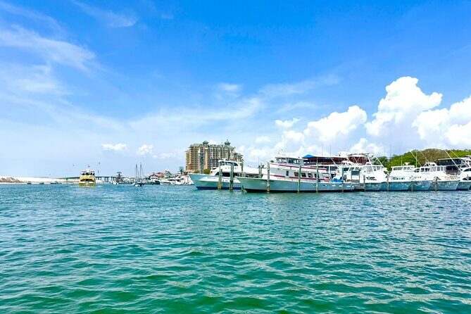 Destin Harbor Boat Ride and Dolphin Watching on the Hopper - The Experience: What to Expect on This Destin Boat Ride