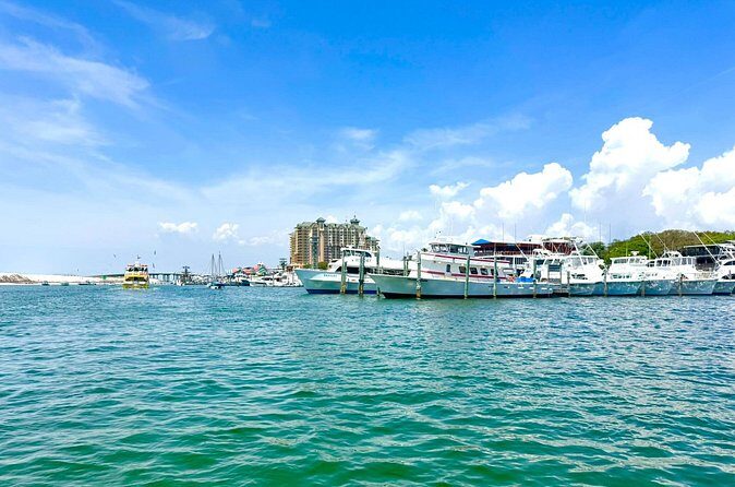 Destin Harbor Boat Ride and Dolphin Watching on the Hopper - Authentic Reviews and Guest Perspectives