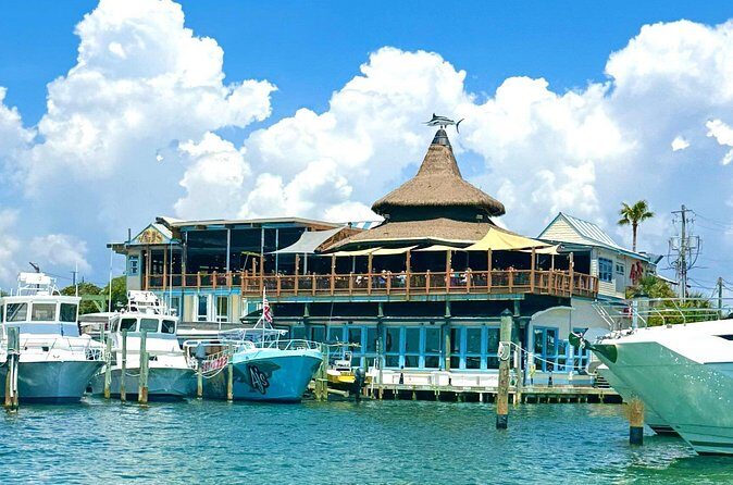 Destin Harbor Boat Ride and Dolphin Watching on the Hopper - Who Is This Tour Best Suited For?