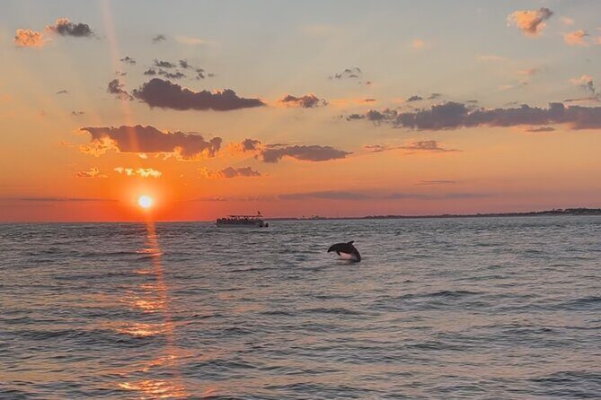 Destin Private Boat Tours Dolphin Crab Island Snorkel Sunset - Who This Tour Is Perfect For