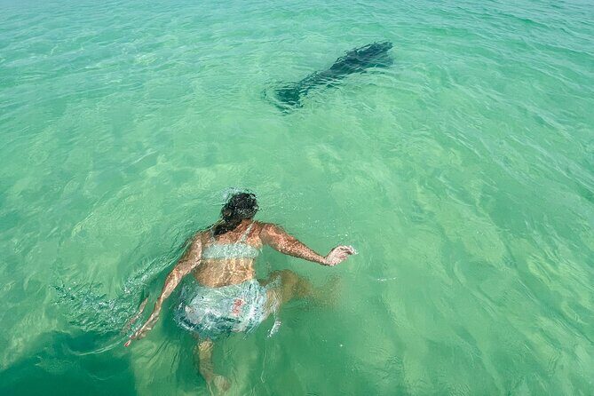 Destin Private Boat Tours Dolphin Crab Island Snorkel Sunset - Frequently Asked Questions (FAQs)