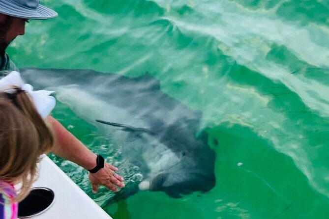 Destin Private Boat Tours Dolphin Crab Island Snorkel Sunset - In Closing