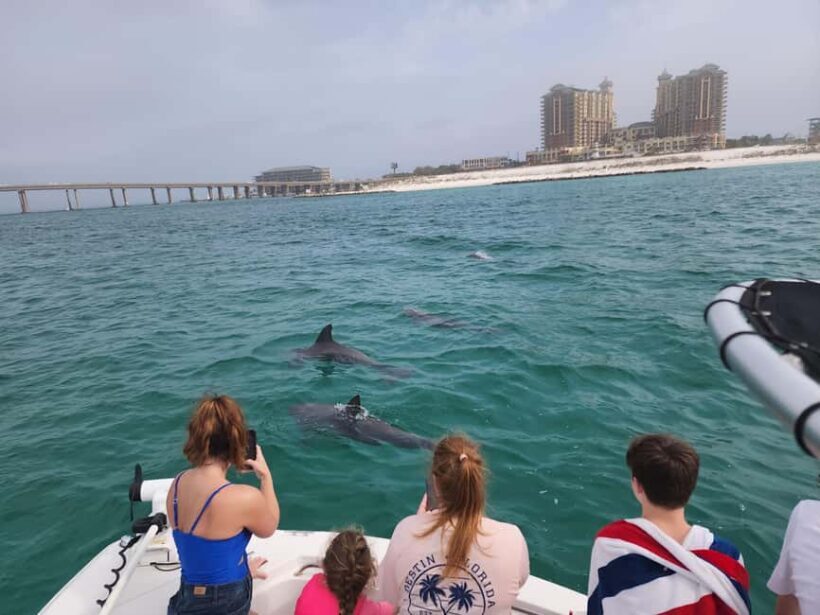 Destin: Private Morning Dolphin Cruise - An In-Depth Look at the Experience