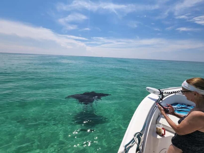 Destin: Private Morning Dolphin Cruise - FAQ