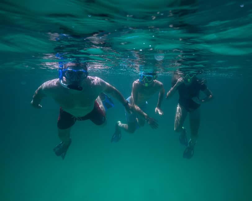 Destin: Reef Snorkeling Adventure - An In-Depth Look at the Reef Snorkeling Adventure
