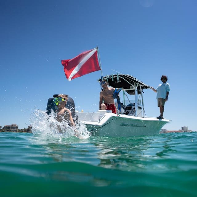 Destin: Snorkeling, Dolphins, and Crab Island - An Introduction to the Experience