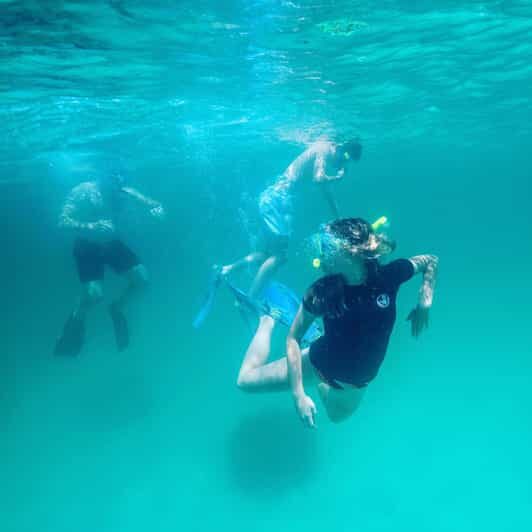Destin: Snorkeling, Dolphins, and Crab Island - Itinerary Details: What You Can Expect