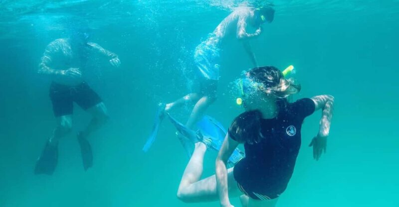 Destin: Snorkeling, Dolphins, and Crab Island - An In-Depth Look at the Tour