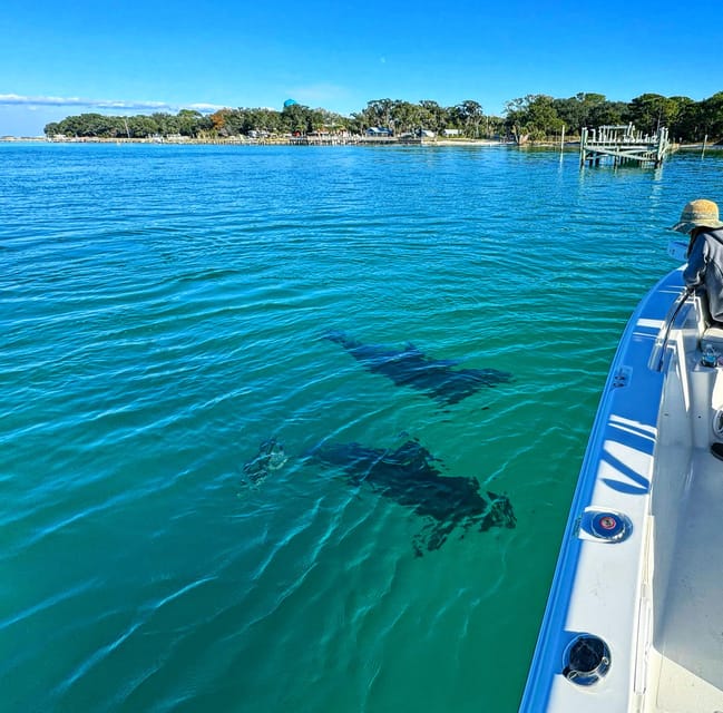 Destin: Snorkeling, Dolphins, and Crab Island - Frequently Asked Questions