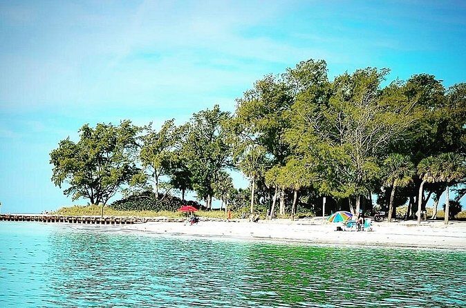 Destination and or Special Occasion Cruise - What Past Participants Say