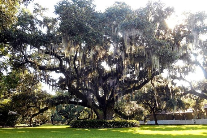 Destrehan Plantation and Swamp Tour from New Orleans - Final Thoughts: Is It Worth It?