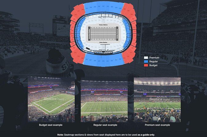 Detroit Lions Football Game Ticket at Ford Field - Considering the Cost and Overall Value