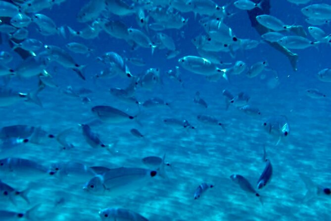 Devils Saddle Tour: 3 Snorkeling Stops/Soft Drinks/Actioncam - Inclusions and Amenities