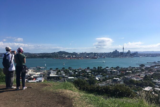 Devonport Volcanoes Afternoon Tour from Auckland - Why This Tour Could Be Your Best Choice