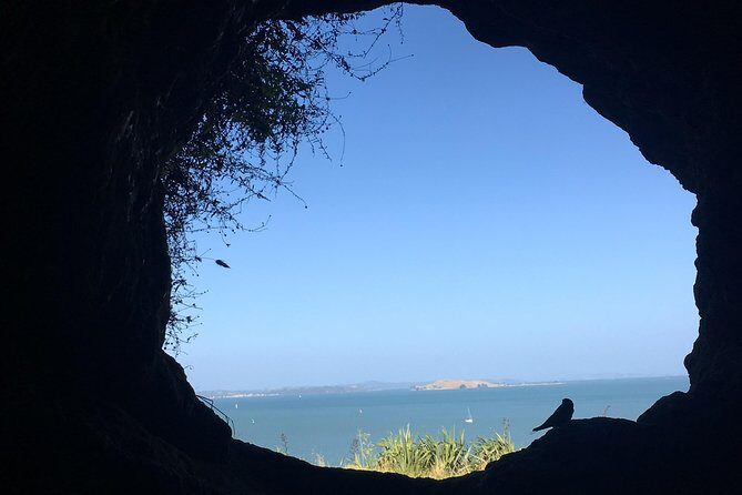 Devonport Volcanoes Afternoon Tour from Auckland - Authentic Experiences and What Travelers Say