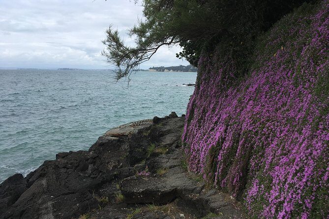 Devonport Volcanoes Afternoon Tour from Auckland - Transportation, Price, and Overall Value